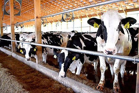 Schrack Farms dairy operations continue to run smoothly | News, Sports ...